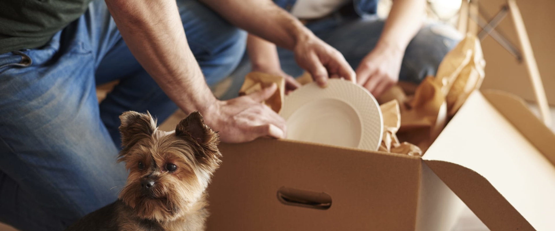 How to Pack for a Move: A Step-by-Step Guide